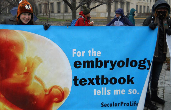 Pro-life and secular: an interview with Kelsey Hazzard – The Minimise ...